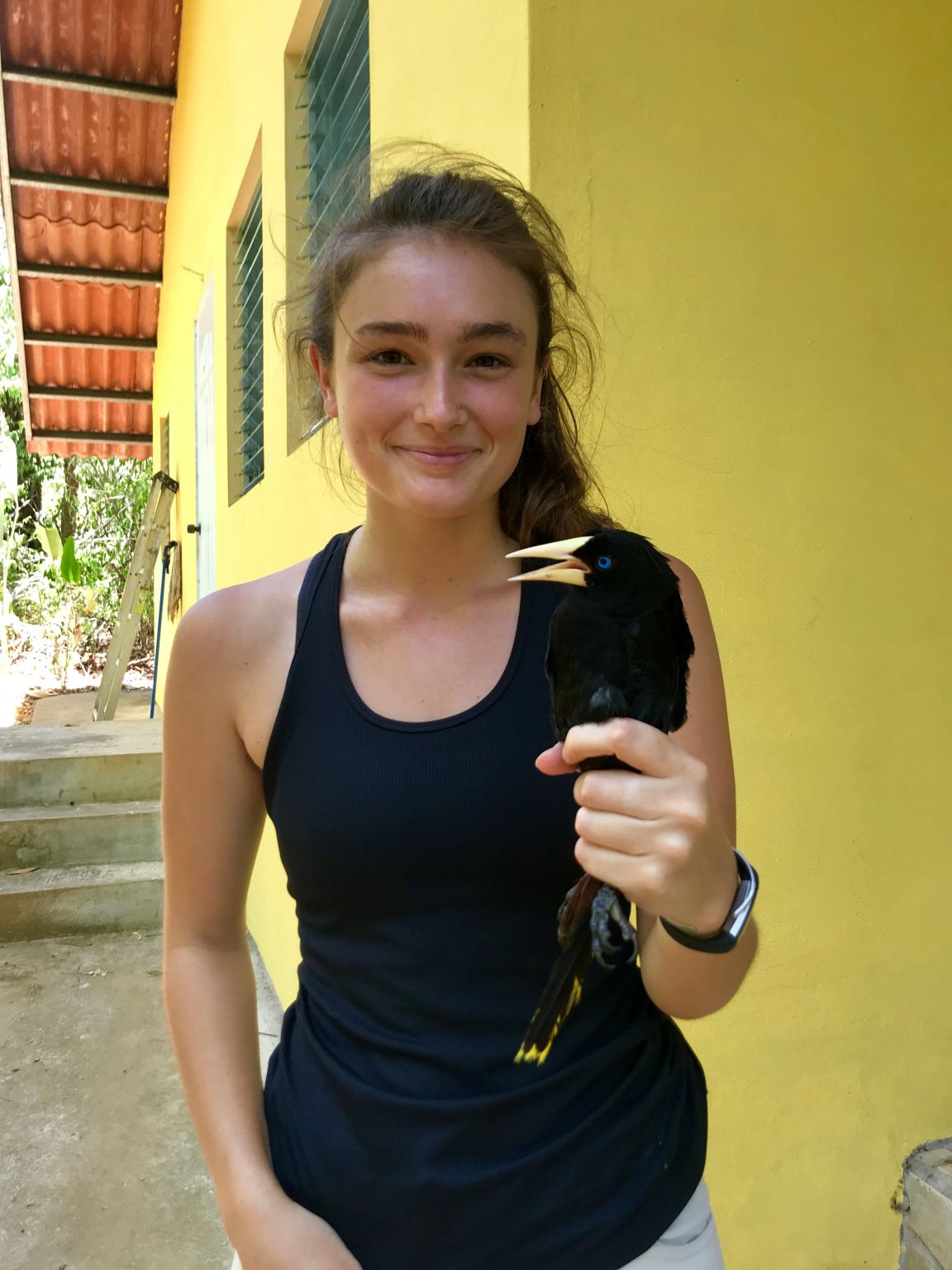Alumni guest blog by Emily Filiberti: My life with the birds - Perlut Lab