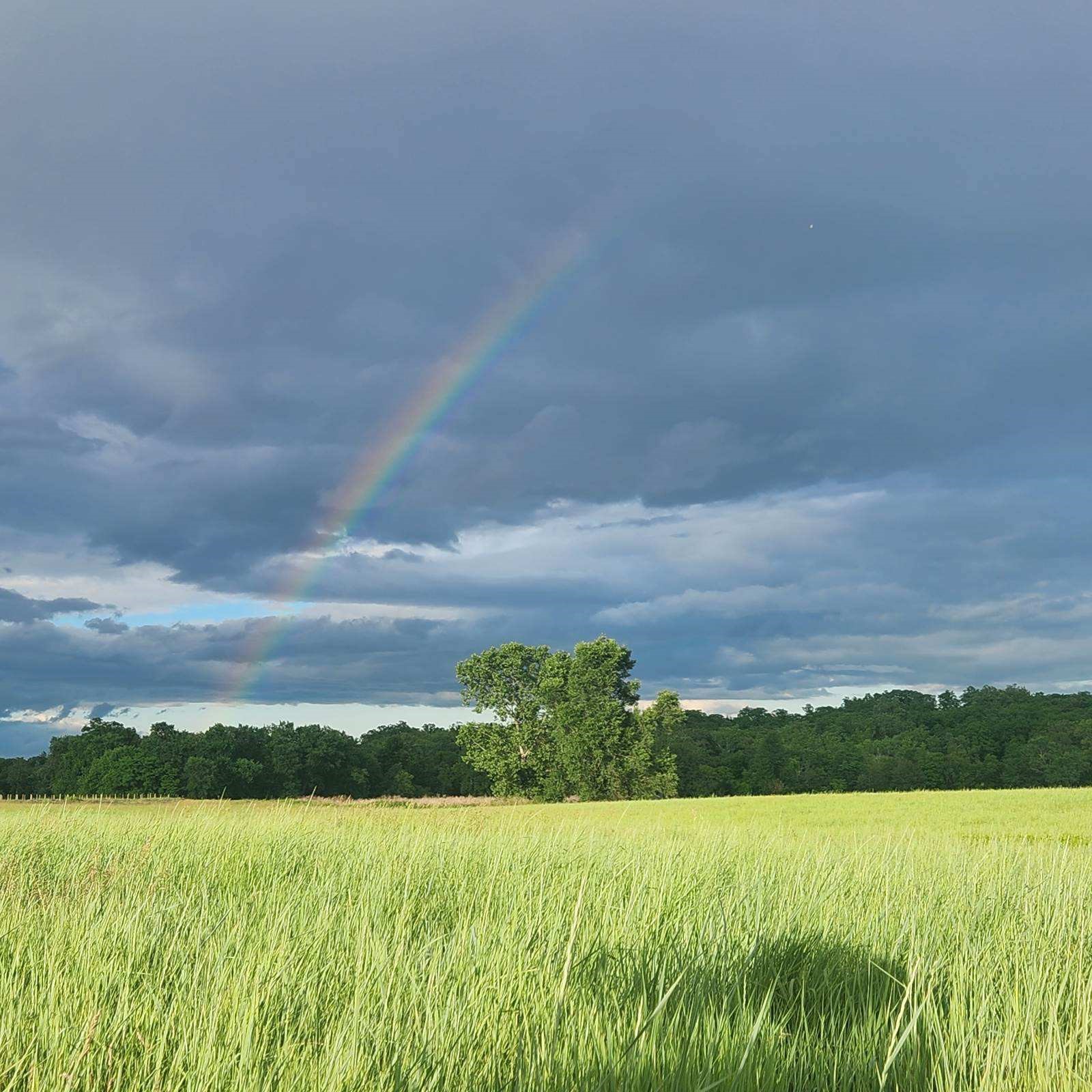 Grassland songbird ecology @ the Hudson Valley Farm Hub - Perlut Lab